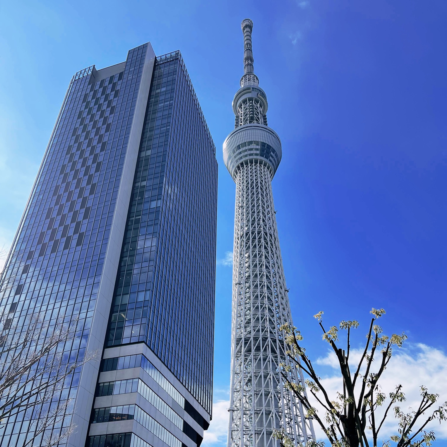 Sky Tree Tower Tokyo