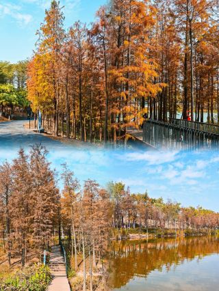 Things to Do in Changping Town in 2024 - Top Attractions, Local Food ...