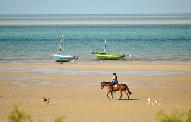 Mozambique Coast Adventure: A Dreamy Place to Dance with Whales | Trip ...