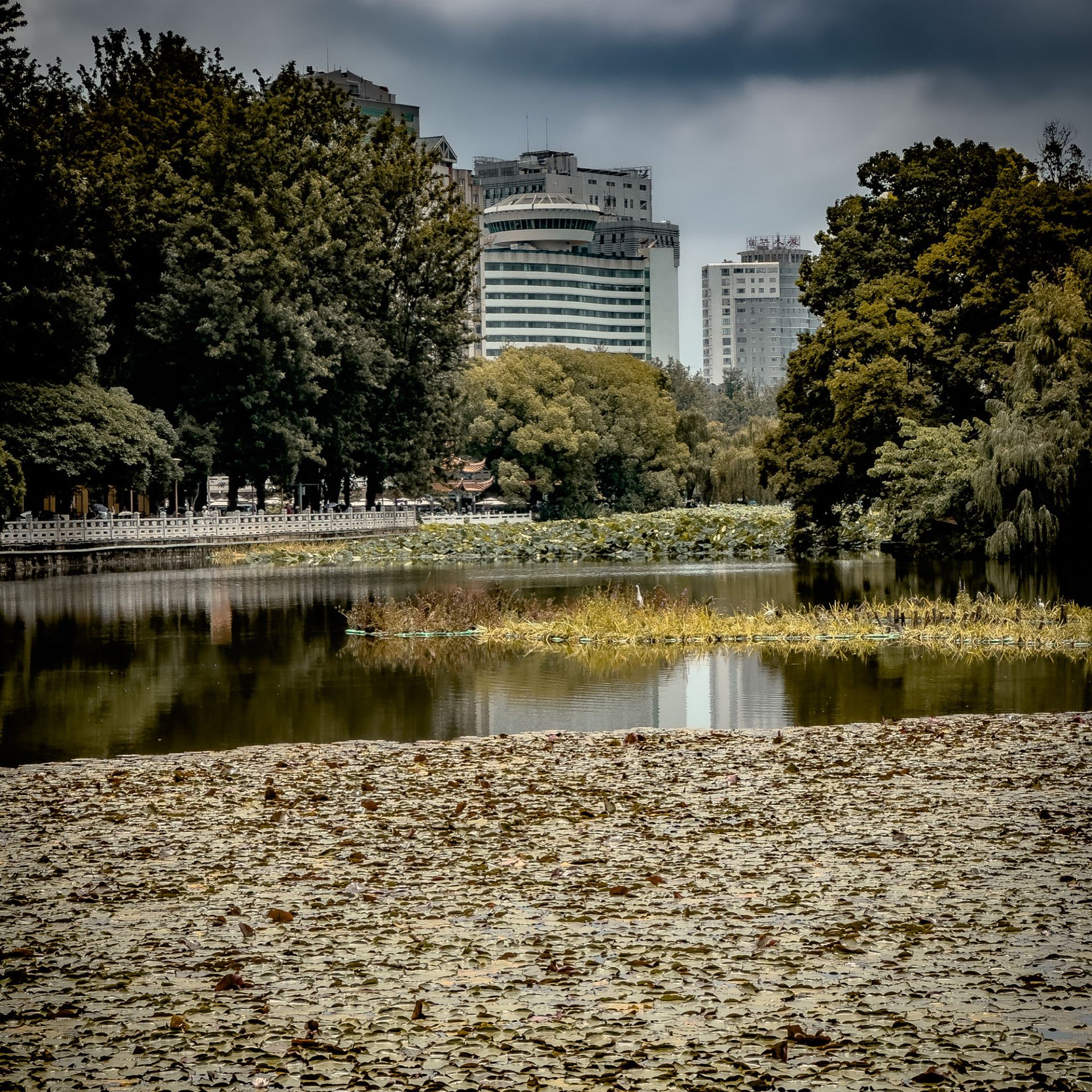Kunming Travel Guide 2023 - Things to Do, What To Eat & Tips | Trip.com