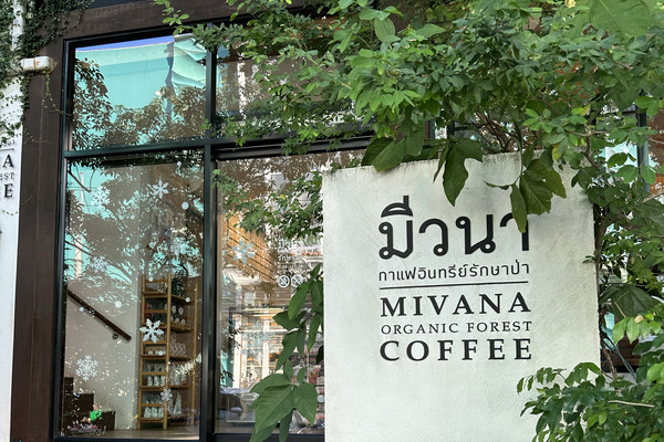 MiVana Coffee Flagship Store | Trip.com กรุงเทพฯ