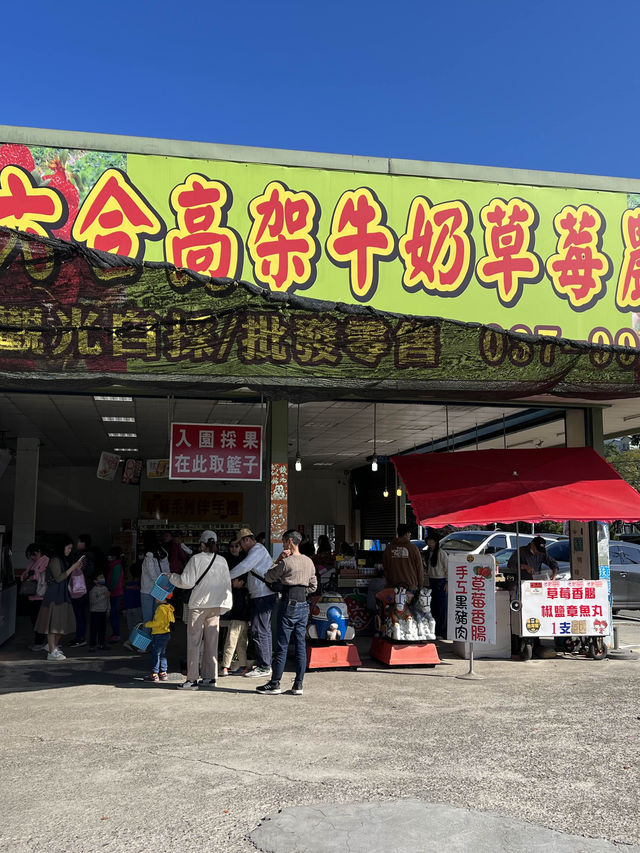 Dahu Strawberry Farm | Trip.com Taiwan