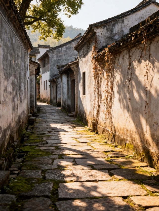 杭州後花園避暑指南｜住進 18℃嘅森林裏｜Trip.com 杭州