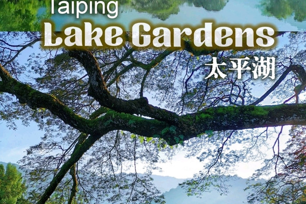 Heritage Raintree Walk & Picturesque Scenary | Trip.com Taiping
