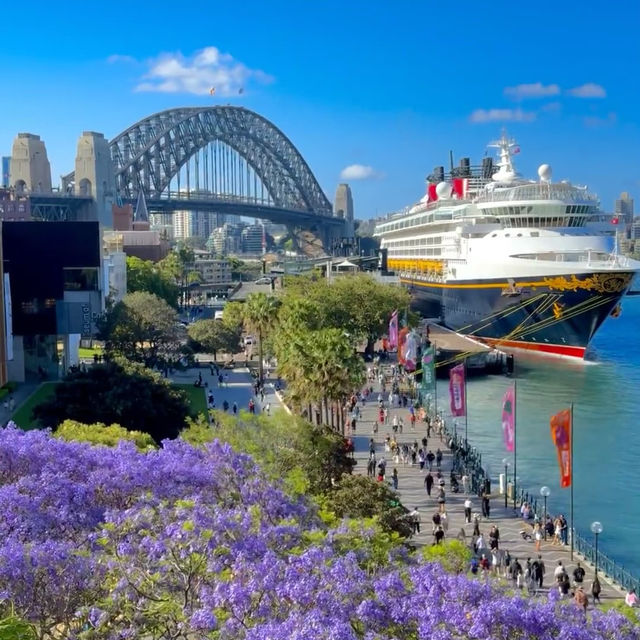 Solo trip to Circular Quay | Trip.com Circular Quay