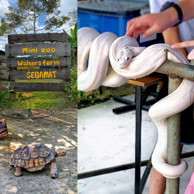 Walters Farm, a laid-back weekend getaway! | Trip.com Segamat