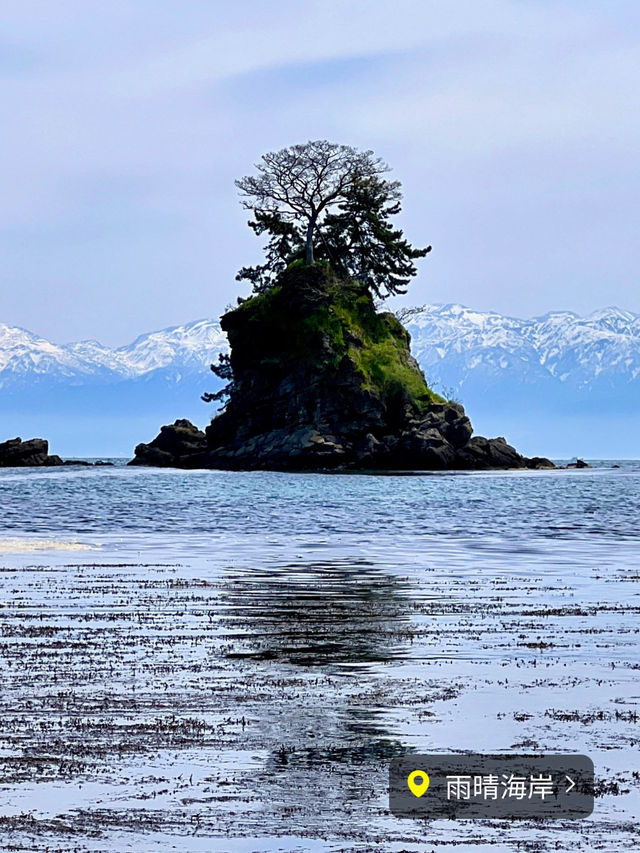 [Toyama] Amaharashi Coast offers stunning views of the Tateyama ...