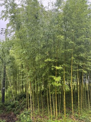 Things to Do in Xuancheng in 2024 - Top Attractions, Local Food, Hotels ...