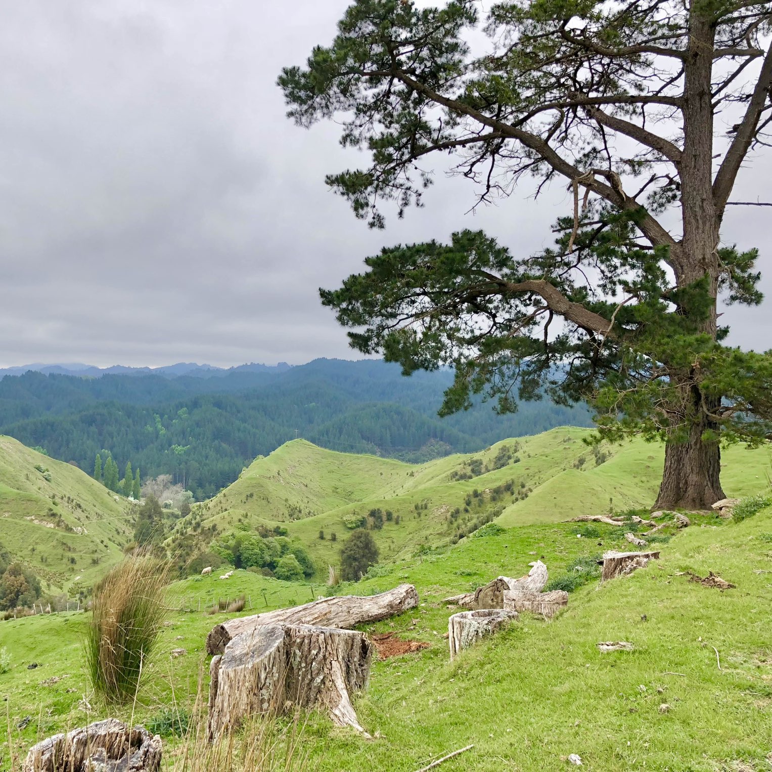 Things to Do in Manawatu-Wanganui in 2024 - Top Attractions, Local Food ...