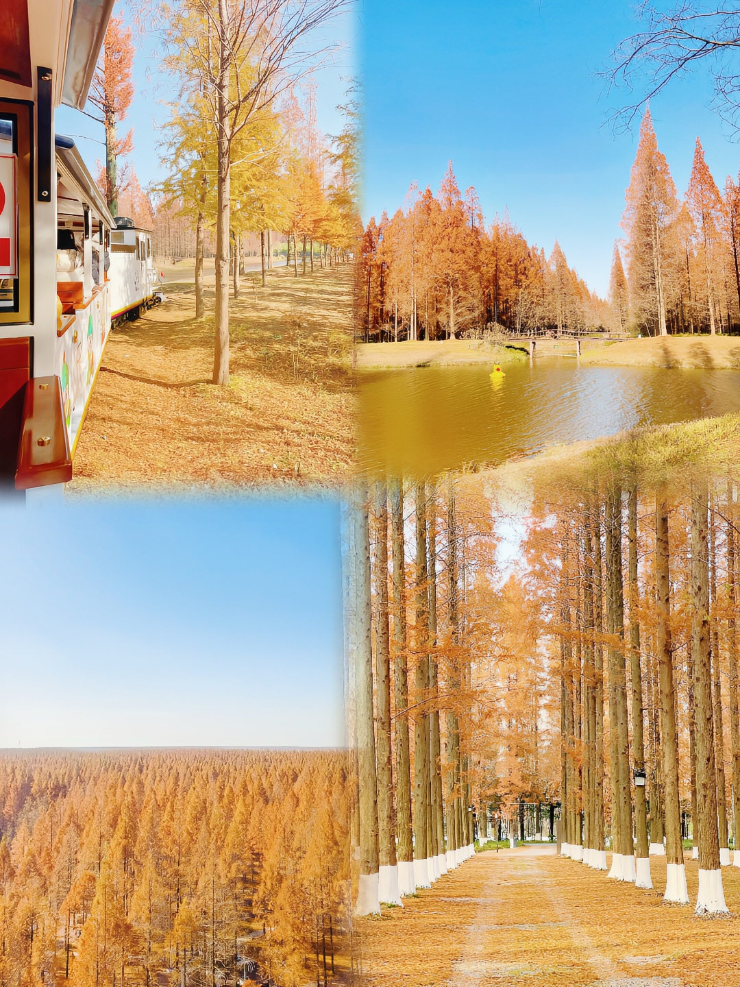 Things to Do in Dongtai in 2025 - Top Attractions, Local Food, Hotels ...