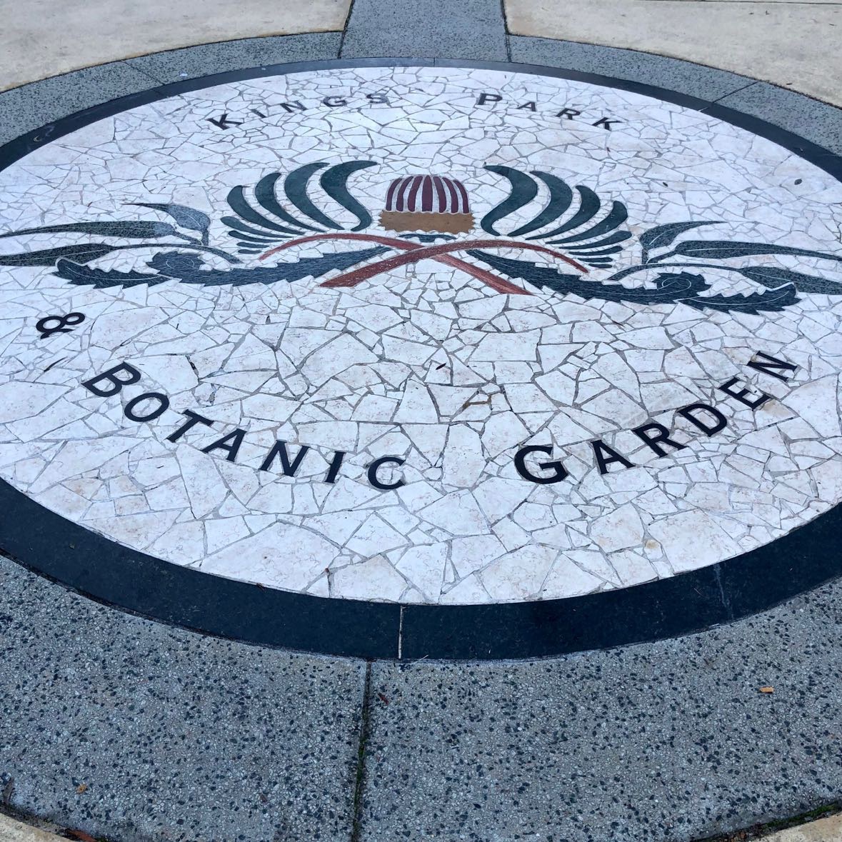 Kings Park Travel Guide 2023 - Things to Do, What To Eat & Tips | Trip.com
