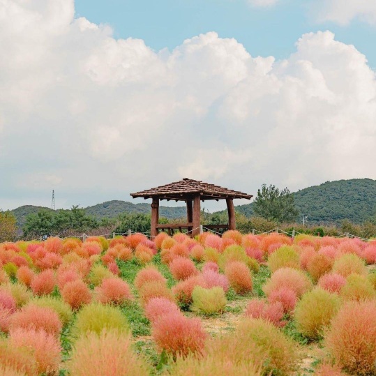 Things to Do in Incheon in 2024 - Top Attractions, Local Food, Hotels ...