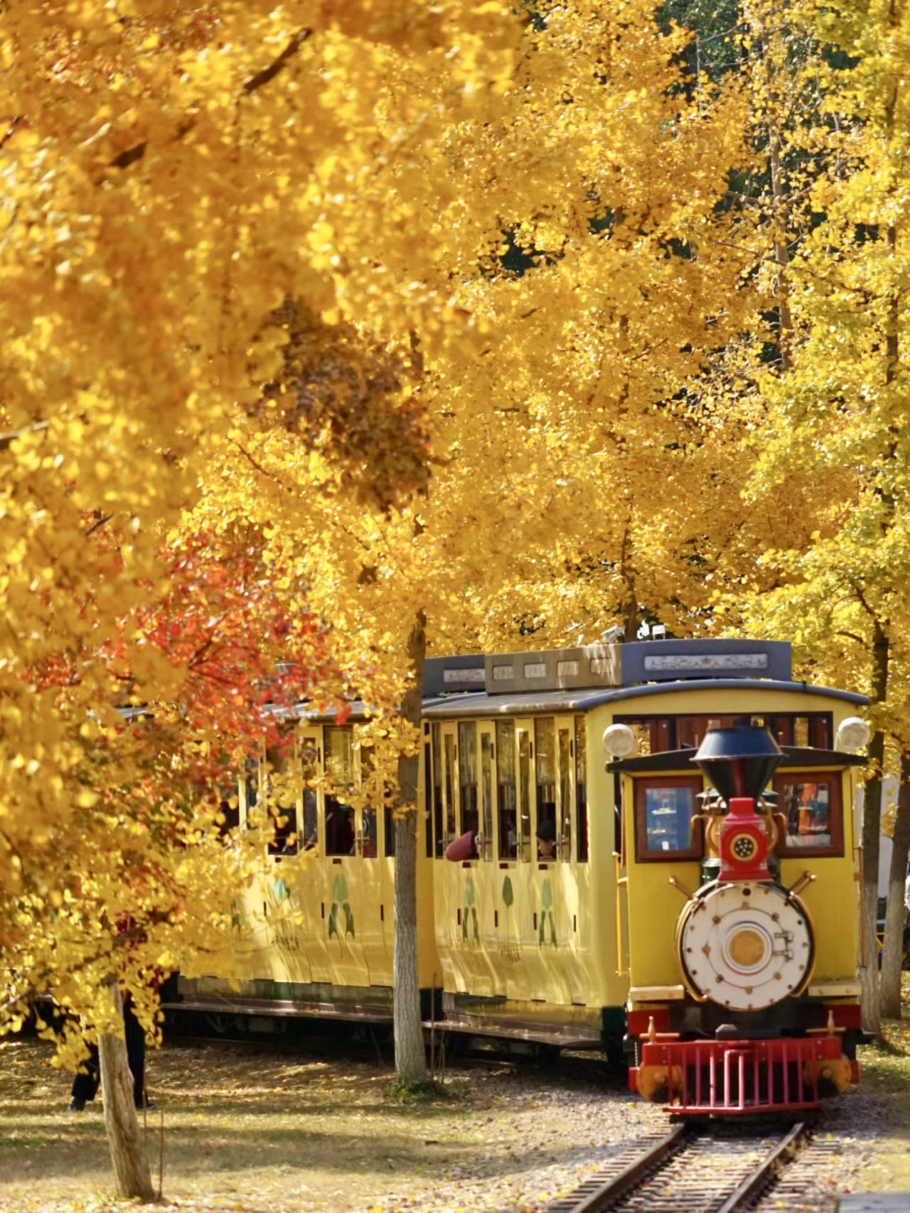 Things to Do in Changxing in 2025 - Top Attractions, Local Food, Hotels ...