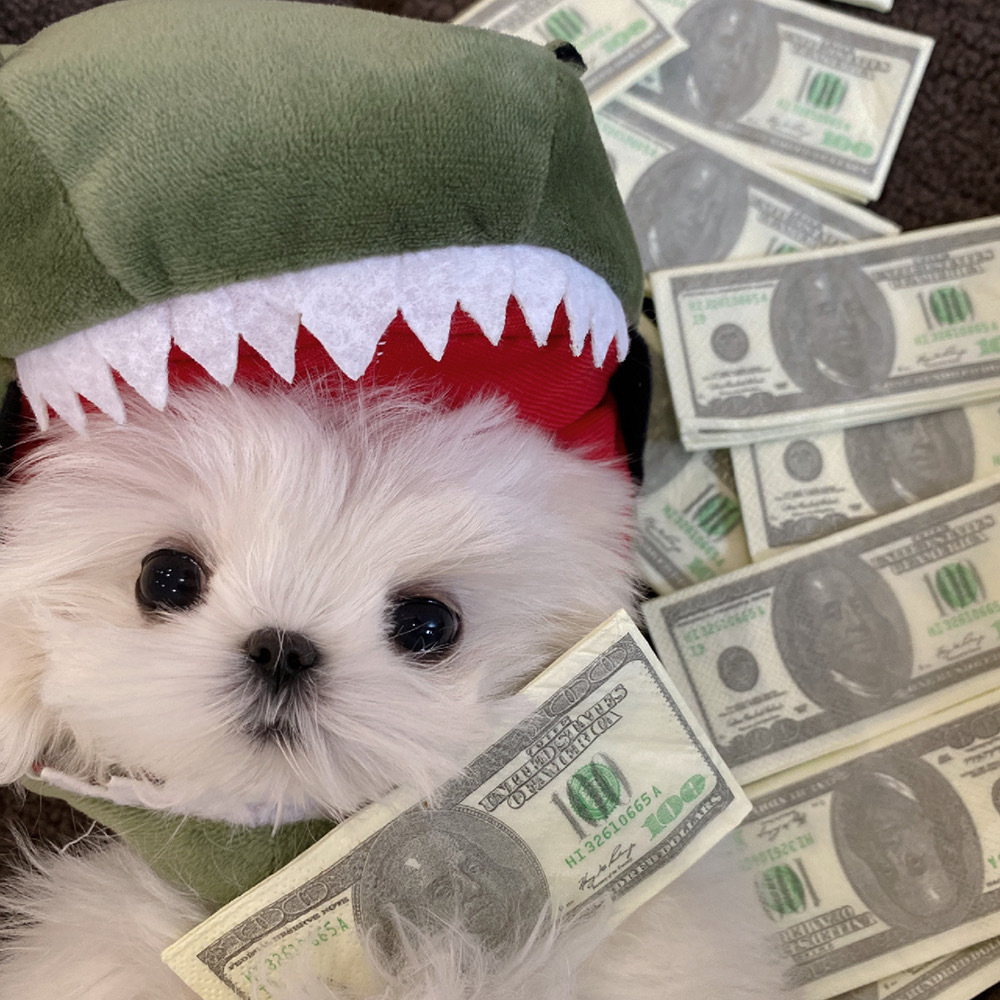 Things to Do in Daishan in 2025 - Top Attractions, Local Food, Hotels ...