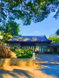 Lingnan Calmness | Trip.com Guangzhou