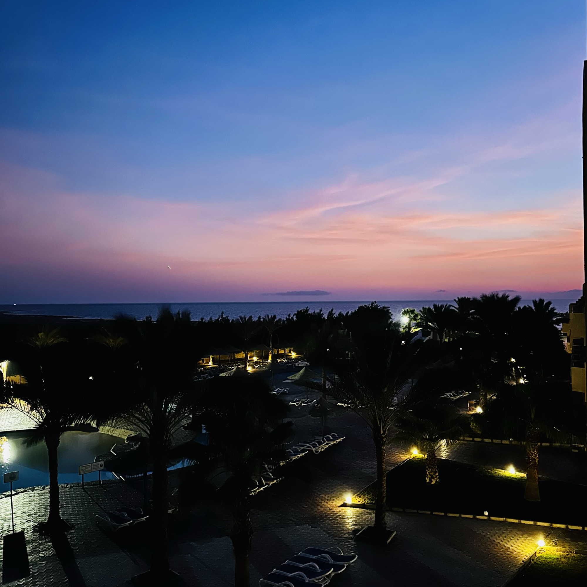 Things to Do in Qesm Marsa Alam in 2024 - Top Attractions, Local Food ...
