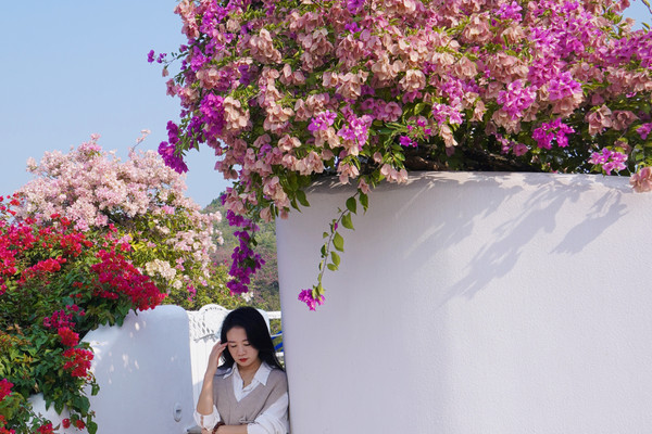 Qingxiu Mountain in Nanning is full of bougainvillea, it's like a fairy ...