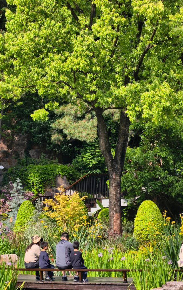 Lautan Bunga Azalea di Fude Li | Trip.com Shanghai