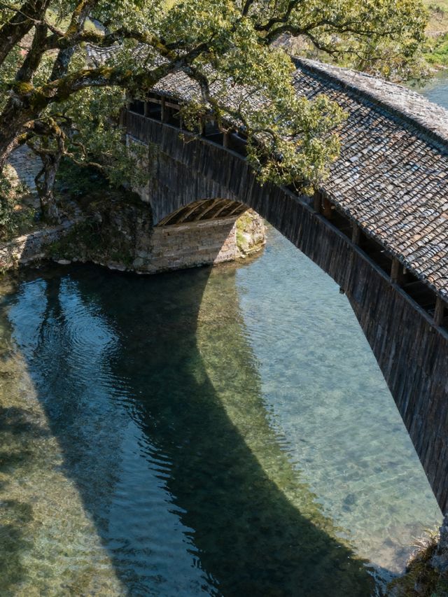 婺源 6 月避暑指南｜避開人潮的清涼秘境｜Trip.com 婺源