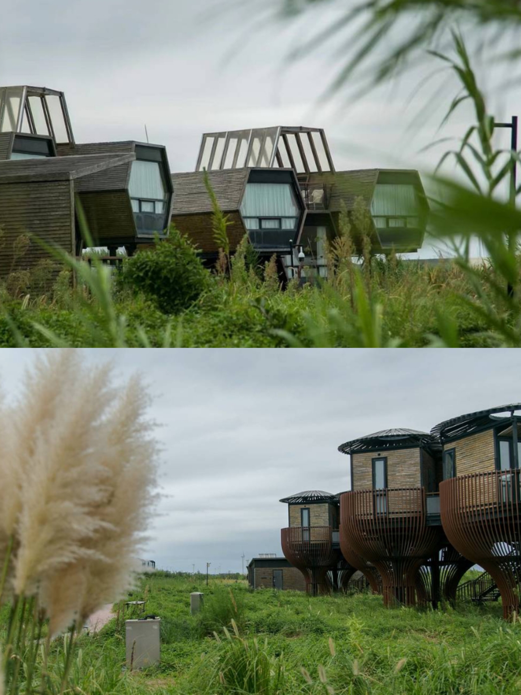 Things to Do in Nantong in 2024 - Top Attractions, Local Food, Hotels ...