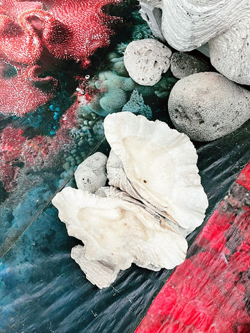 Dive into the Wonders of the Ocean at Natural History Museum Kuching ...