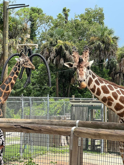 Caribbean Gardens Naples Florida