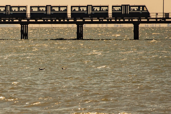 🌈Life's Must-Experience: Spirited Away-Inspired Seaside Train Ride 🚂 ...