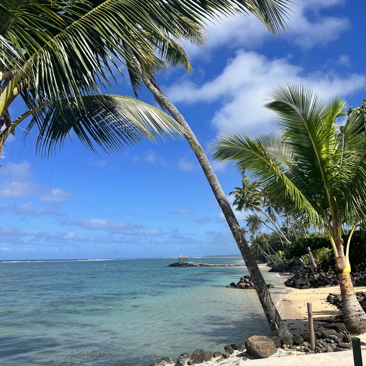 Samoa Travel Guide 2023 - Things to Do, What To Eat & Tips | Trip.com