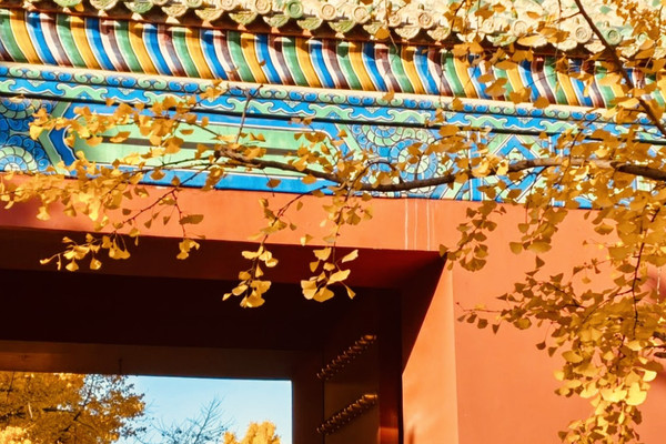 Ditan Park (地坛公园) – A Photographer's Dream of Golden Saturation | Trip ...