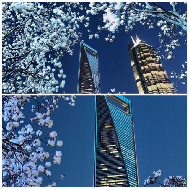 Shanghai's stunning zero-cost check-in spots revealed! These 18 photo ...