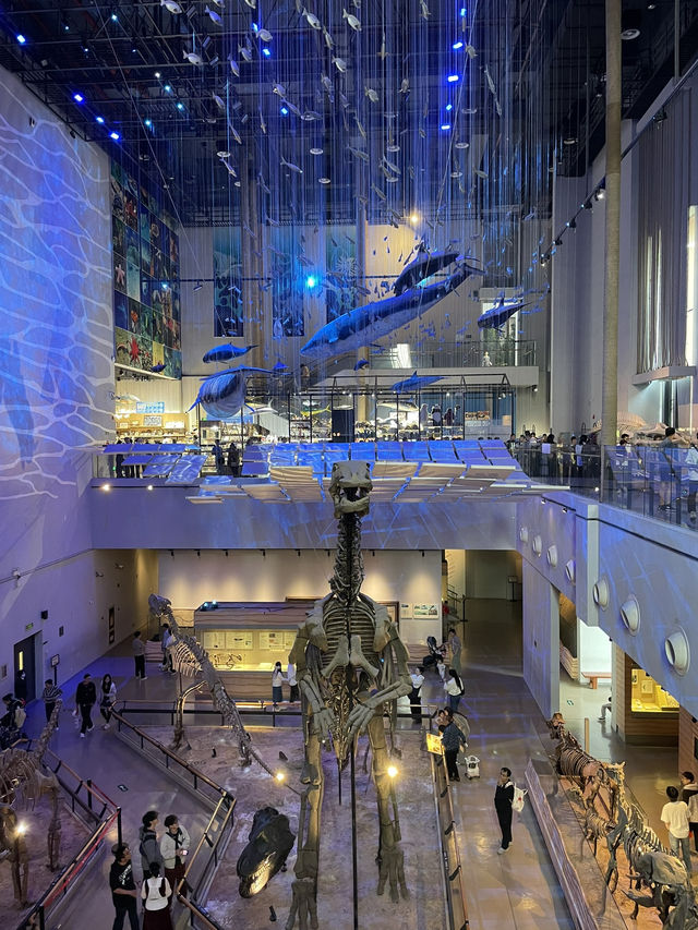Guangzhou museum | Trip.com Guangzhou