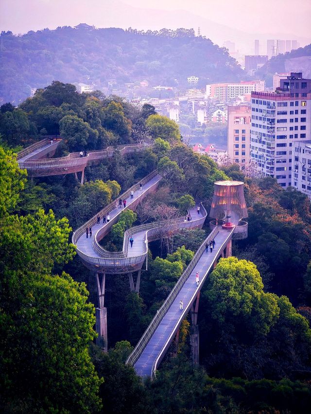 榕城陪父慢漫遊｜Trip.com 福州