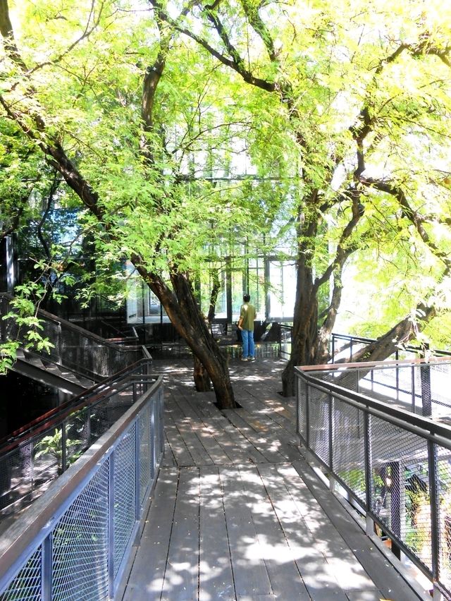 Artistic Space With Integrated Nature | Trip.com Bangkok