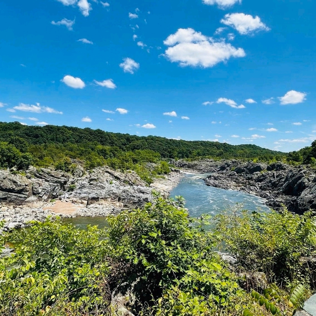 Things to Do in Dranesville in 2024 - Top Attractions, Local Food ...