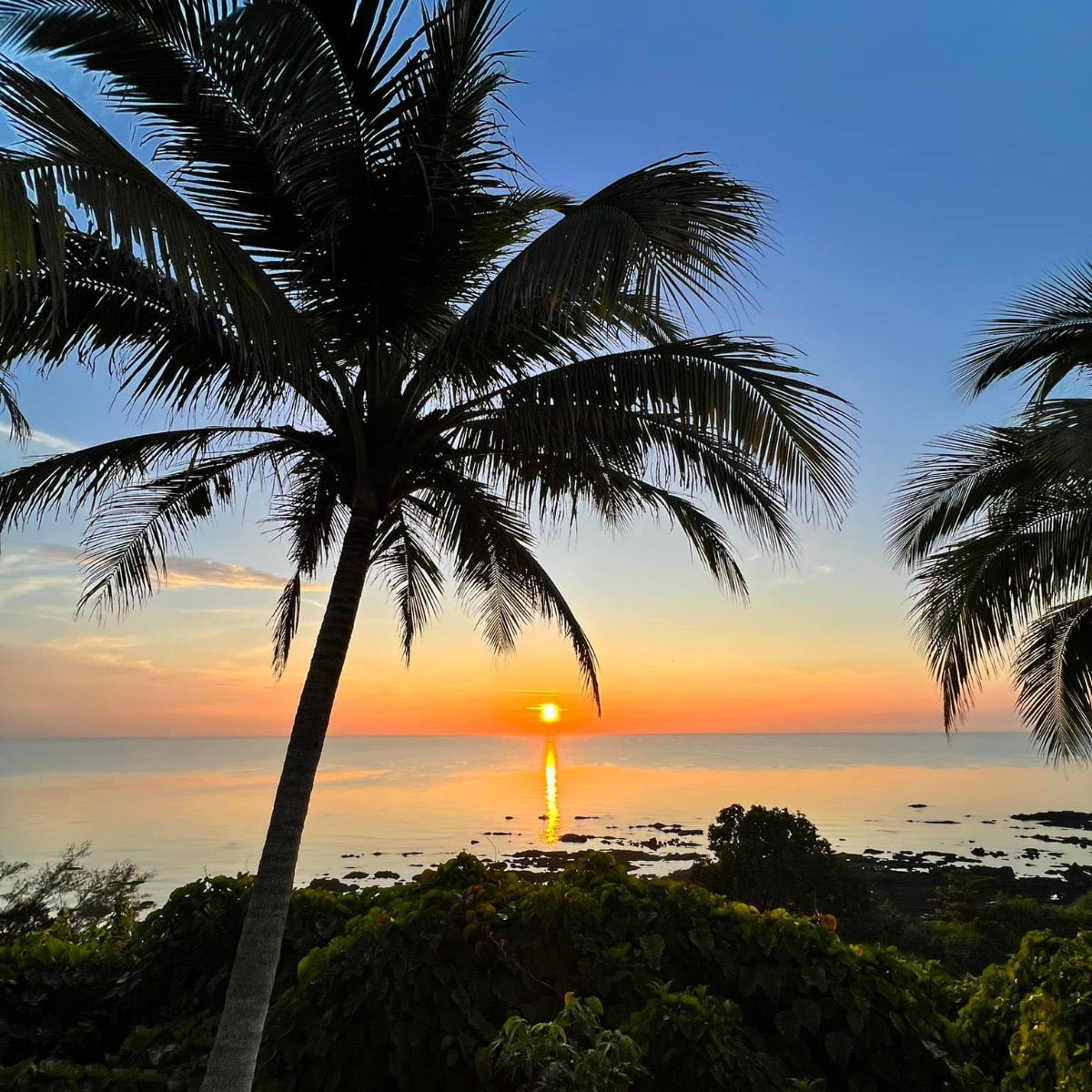 Things to Do in Tanjung Sedili in 2025 - Top Attractions, Local Food ...