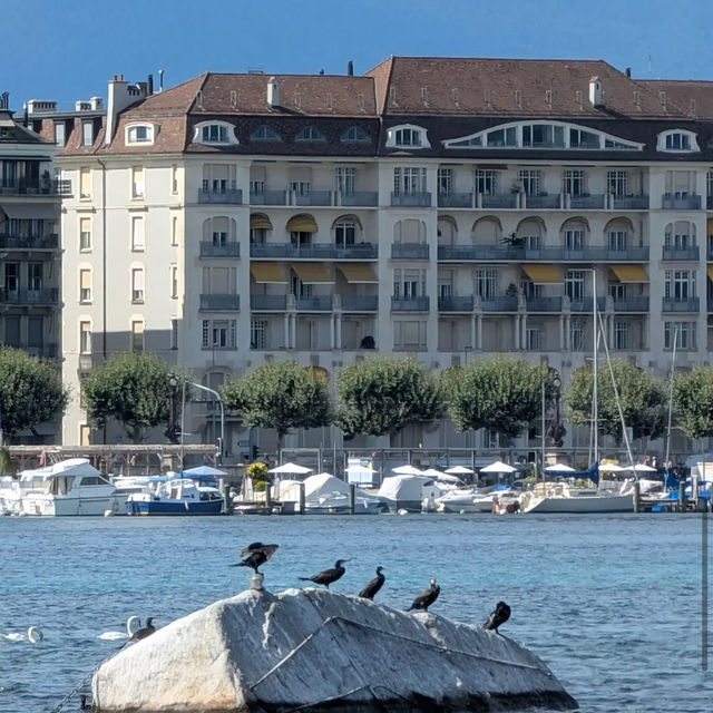 Lake Geneva (Lac Léman) | Trip.com Lake Geneva