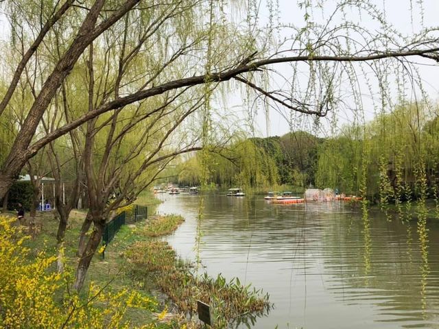 Gucun Park Shanghai 🗺️ | Trip.com Shanghai
