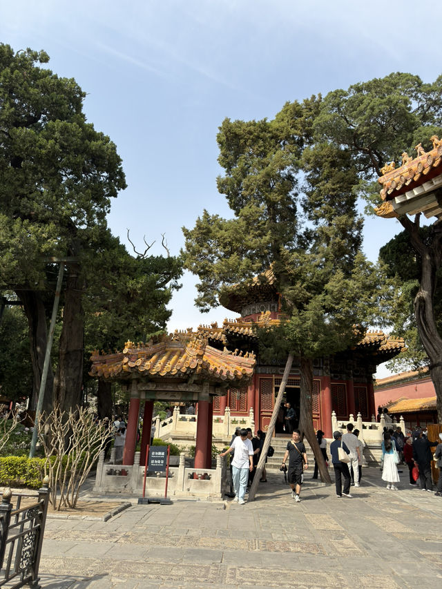 北京必見スポット🌞 | Trip.com 北京