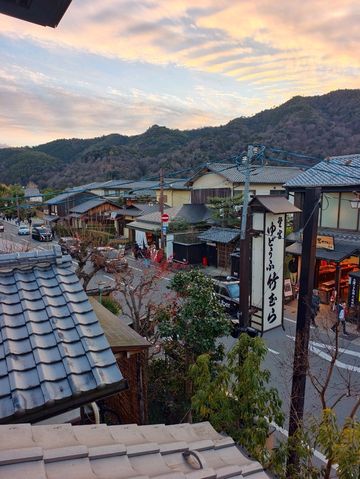 Strolling Through Kyoto’s Dreamy Bamboo Forest 🌿 ｜Trip.com 京都