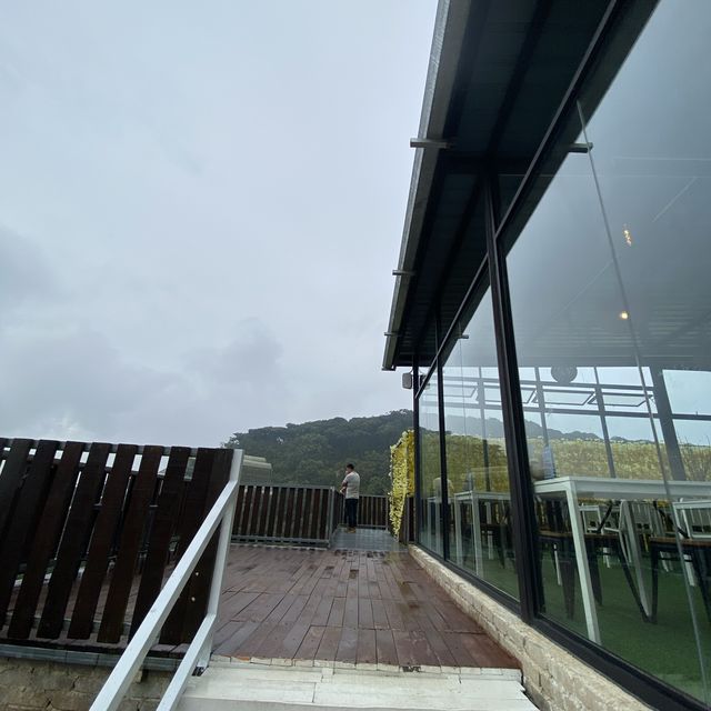 Glass House Cafe: A Hidden Cafe on a Mountain | Trip.com Cameron Highlands