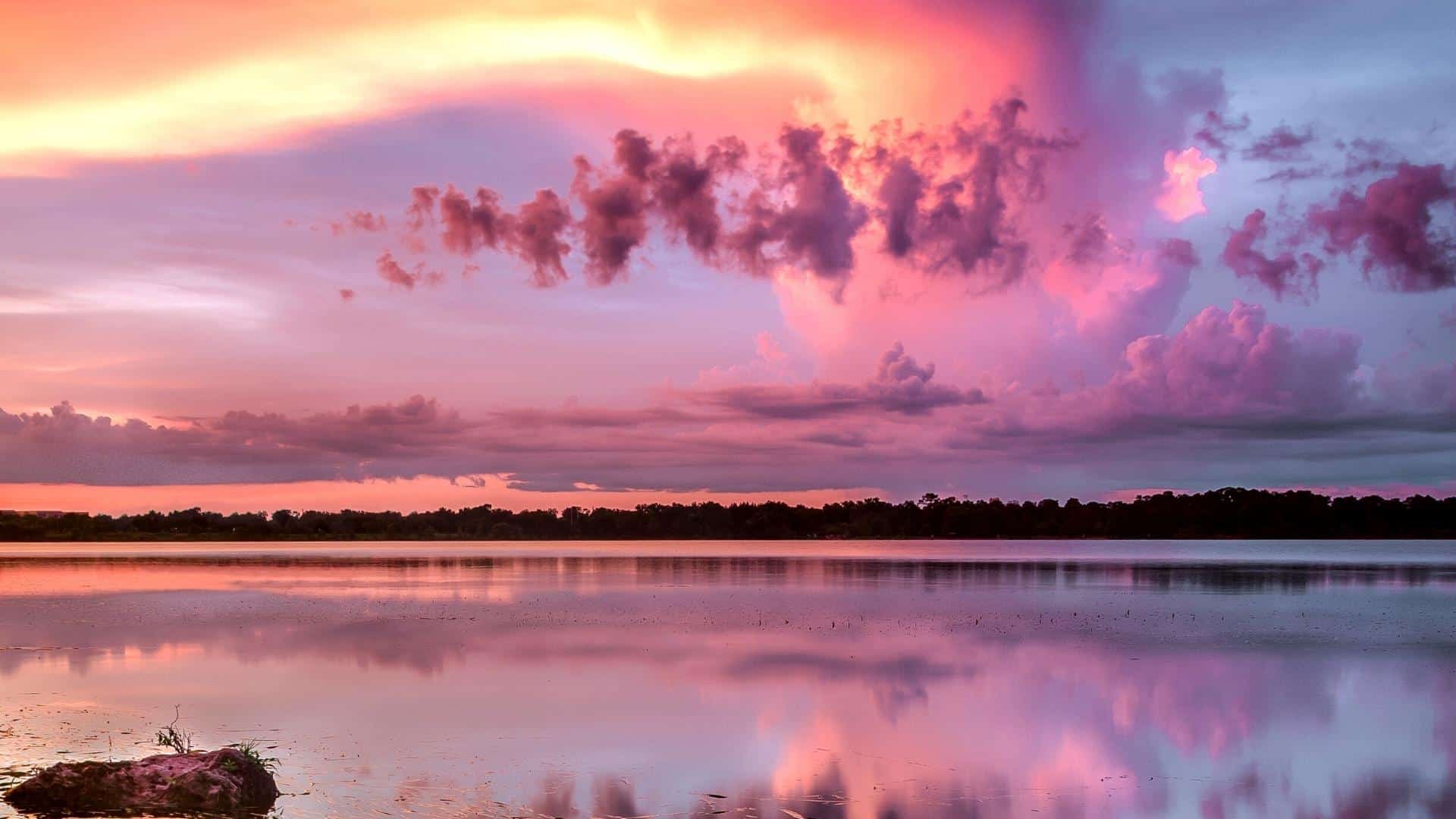 Things to Do in Minhang District in 2025 - Top Attractions, Local Food ...