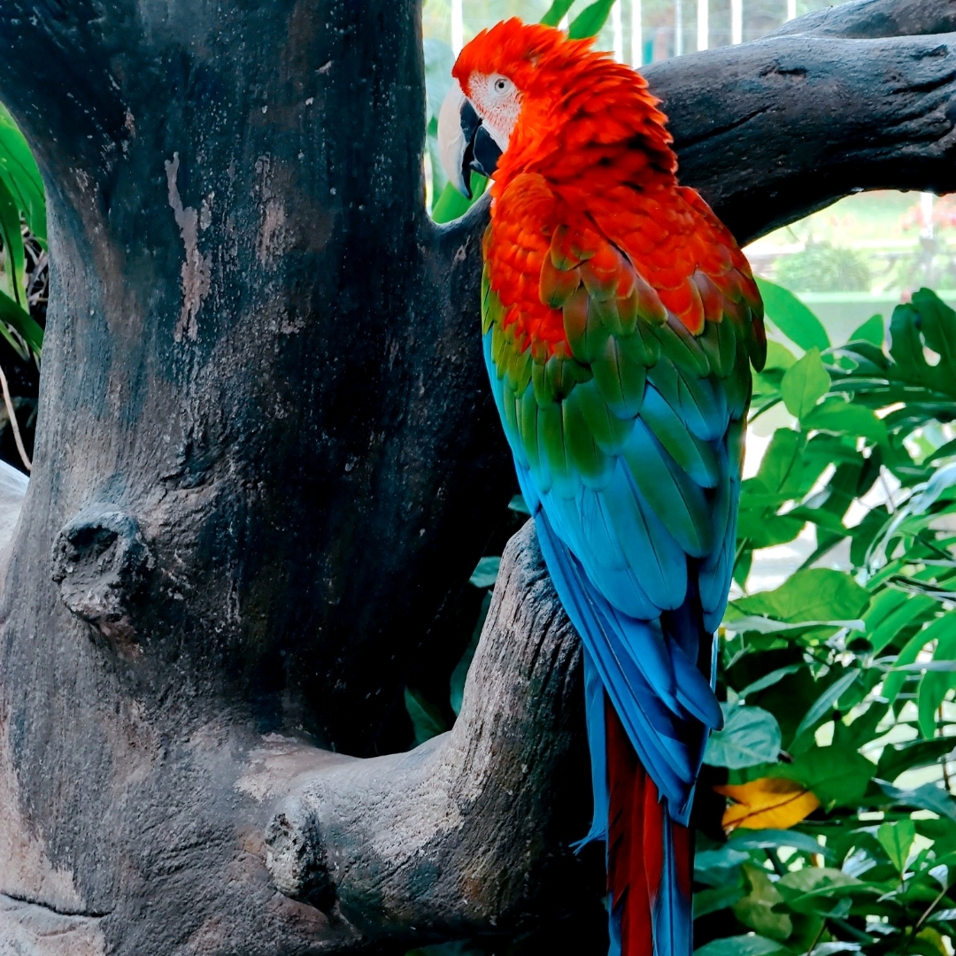 Things to Do in Baoting in 2024 - Top Attractions, Local Food, Hotels ...