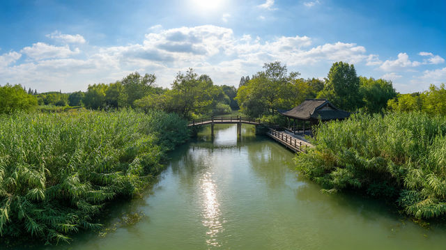 Hangzhou West Lake and Xixi Tour | Trip.com Hangzhou