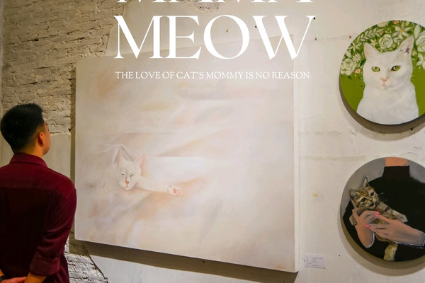 ชวนไปรับเลี้ยงแมวจรที่งาน MAMA MEOW กัน🐱 | Trip.com กรุงเทพฯ