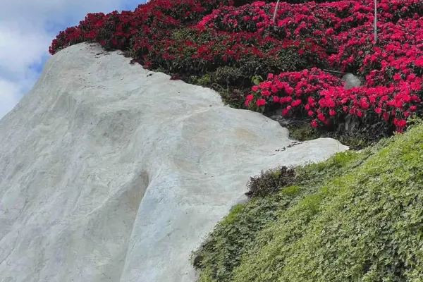 Exciting News: New Attraction in Cameron Highlands! | Trip.com Malaysia