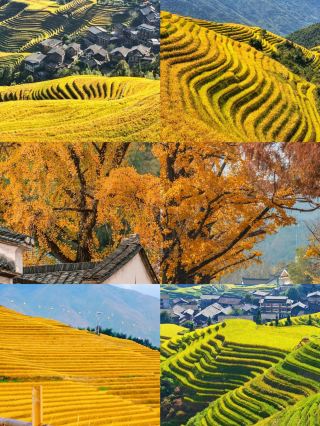 Things to Do in Pingtan in 2024 - Top Attractions, Local Food, Hotels ...