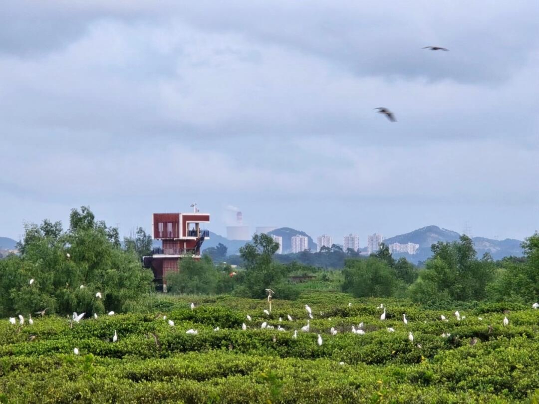 Things to Do in Qinzhou in 2025 - Top Attractions, Local Food, Hotels ...