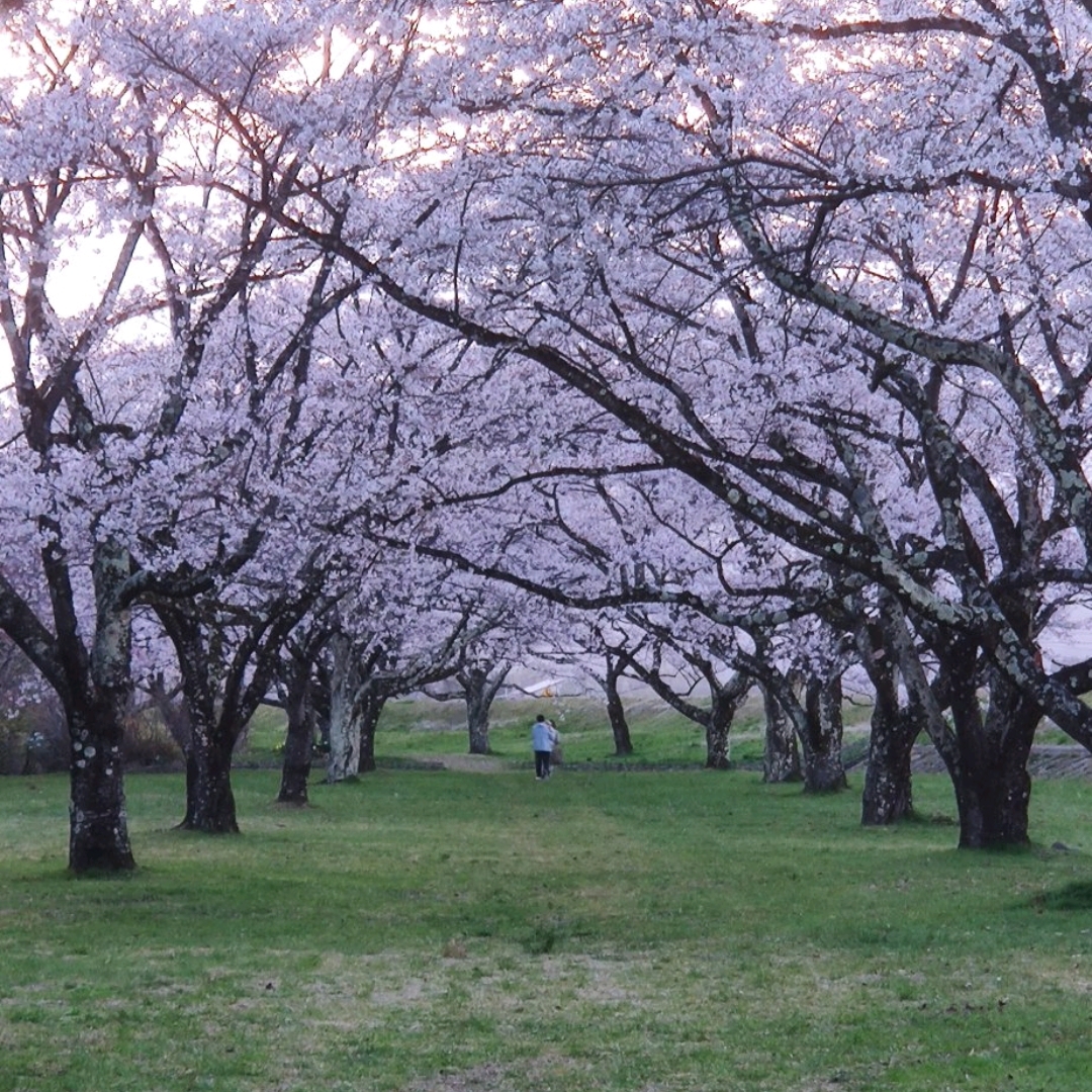 Morioka Travel Guide 2023 - Things to Do, What To Eat & Tips | Trip.com