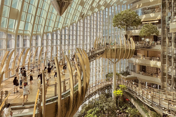 The Ring, Chongqing: Where Nature Meets Art in the Heart of the City ...