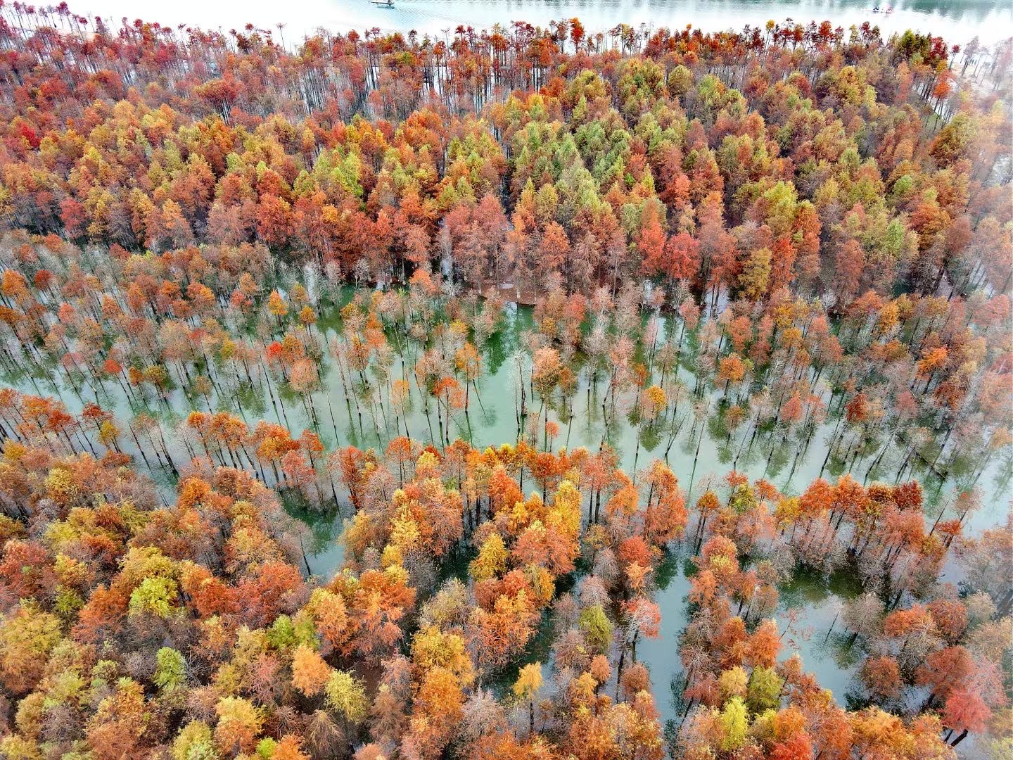 Things to Do in Ningguo in 2025 - Top Attractions, Local Food, Hotels ...